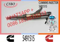 China Diesel Engine Parts Common Rail Fuel Injector 4307475 4307468 5491515 for Foton Vehicles for sale