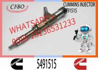 China Diesel Engine Parts Common Rail Fuel Injector 4307475 4307468 5491515 for Foton Vehicles for sale