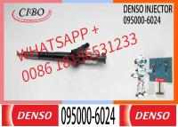 China Common Rail Diesel Engine Injector  095000-6024  16600-ES60C  095000-5070 095000-5131 for sale
