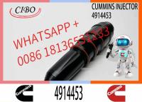 China YW49 for 350GF normally closed generator set engine NTA855-G4 injector 4914453 3073569 for sale