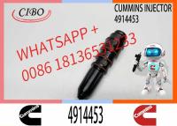 China YW49 for 350GF normally closed generator set engine NTA855-G4 injector 4914453 3073569 for sale