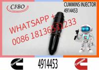 China YW49 for 350GF normally closed generator set engine NTA855-G4 injector 4914453 3073569 for sale