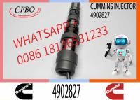China Injector Nozzle Assembly 6560-11-1114 4902827 4077076 4062090 6560-11-1110 QSK19 QSK23 QSK60 Engine Series for sale