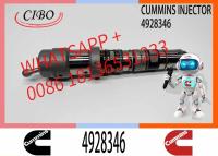 China Excavator 4902828 4902827 4326780 3766446 4326781 4088428 4928346 4076533 Engine Common Rail Fuel Injector for sale
