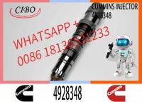 China Q19 diesel engine common rail injector 4087888 4087889 4928348 4010025 4928345 4928346 for sale