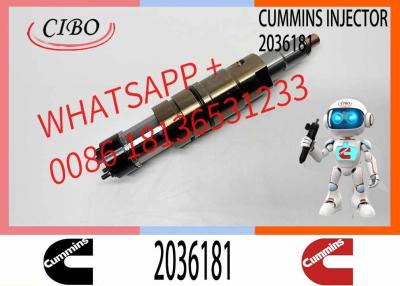 China Injectors XPI 2057401 2036181 2031835 574423 1933612 575176 Engine Types DC13115 DC13124 DC13125 DC13147 DC09108 for sale
