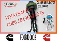 China F00BJ00002 High Quality QSK19 Diesel Engine Parts Fuel Injector F00BJ00002 Excavator Fuel Injector For Bos Injector Dies for sale