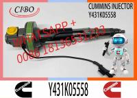 China Y431K05417 QSK19 Diesel Engine Common Rail Fuel Injector Y431K05558 4964171  Y431K05420 for sale