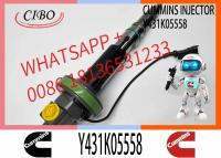 China Y431K05417 QSK19 Diesel Engine Common Rail Fuel Injector Y431K05558 4964171  Y431K05420 for sale
