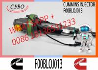 China Common Rail Engine Accessories Diesel Injector 4964172 0986435615F00BLOJ013 FOR QSK38/50 F00BJ00005	Y431KO5417 Y431K053 for sale