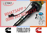 China MTU2000 Common Rail Diesel Injector MTU F0013L0J004 F00BL0J005 F00BL05011  F00BLOJ018 0986435615  F00BLOJ013	FOOBJ60783 for sale