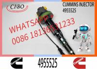 China New Repair Kit for K19 Diesel Engine Injector Model Numbers 2867147 2867149 2882077 4928349 4955524 4964170 4964171 4964 for sale