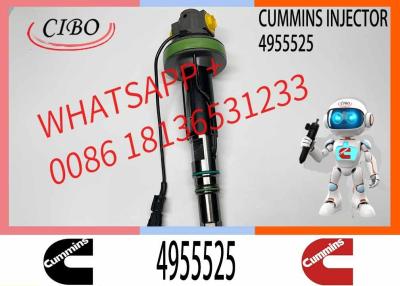 China New Repair Kit for K19 Diesel Engine Injector Model Numbers 2867147 2867149 2882077 4928349 4955524 4964170 4964171 4964 for sale