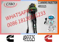China New Repair Kit for K19 Diesel Engine Injector Model Numbers 2867147 2867149 2882077 4928349 4955524 4964170 4964171 4964 for sale