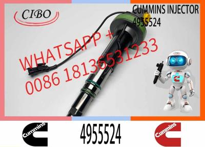 China New Repair Kit for K19 Diesel Engine Injector Model Numbers 2867147 2867149 2882077 4928349 4955524 4964170 4964171 4964 for sale
