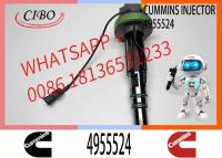 China New Repair Kit for K19 Diesel Engine Injector Model Numbers 2867147 2867149 2882077 4928349 4955524 4964170 4964171 4964 for sale