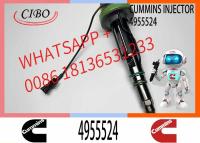 China New Repair Kit for K19 Diesel Engine Injector Model Numbers 2867147 2867149 2882077 4928349 4955524 4964170 4964171 4964 for sale