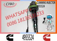 China New Repair Kit for K19 Diesel Engine Injector Model Numbers 2867147 2867149 2882077 4928349 4955524 4964170 4964171 4964 for sale