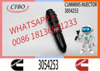 China Excavator 3054218 3054253 3032392 4914308 4914325 Engine Common Rail Fuel Injector for sale