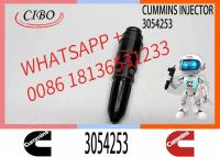 China Excavator 3054218 3054253 3032392 4914308 4914325 Engine Common Rail Fuel Injector for sale