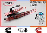 China ISM11 QSM11 M11 Diesel Common Rail Injector 4307516 3095040 4061851 4026222 3411845 for sale