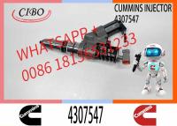 China 4307547 Diesel M11 Engine Fuel Injector Assembly 4026222 4903084 3083871parts QSM11 ISM11 M11 Diesel Engine Common Rail for sale