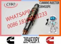 China Common rail injector fuel injecto 2029622 2030519 2057401 2031836 for ISZ13 Excavator DC09 DC16 DC13 for sale