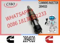 China Neutral fuel Injector 5579415 2894920 2872405 for Cum-mins ISX15 QSX15 for sale