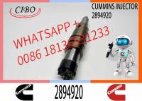 China Neutral fuel Injector 5579415 2894920 2872405 for Cum-mins ISX15 QSX15 for sale