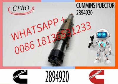 China Neutral fuel Injector 5579415 2894920 2872405 for Cum-mins ISX15 QSX15 for sale