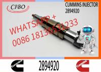 China Neutral fuel Injector 5579415 2894920 2872405 for Cum-mins ISX15 QSX15 for sale