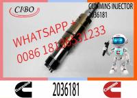 China High Quality Common Rail Diesel Fuel Injector 2031835 1933612 2036181 for Scania RDC13A DC16A for sale