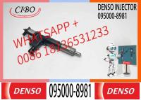 China 100% Neutral Diesel Fuel Injector Common Rail Injector 095000-8981 8-98167556-1 for sale
