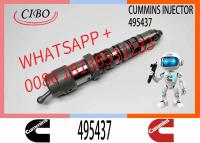 China Diesel Engine Part Excavator Fuel Injector 432678 495437 4077076 4902817 for sale