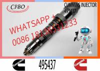 China Diesel Engine Part Excavator Fuel Injector 432678 495437 4077076 4902817 for sale
