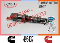 China Diesel Engine Part Excavator Fuel Injector 432678 495437 4077076 4902817 for sale