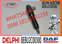China Diesel Fuel Injector Common Rail Parts Injector 1934321 BEBU2C00300 1934322 1914474for VOL-VO for sale