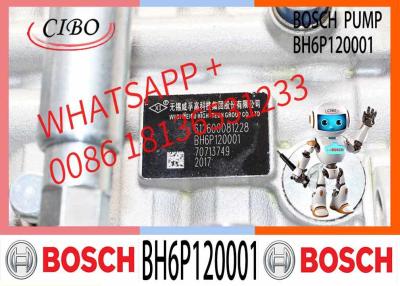 China New Diesel Fuel Injector pump 612600081228 612600081228 BHT6P120R TRQV-K300-1100P for WEICHAI618.42Q 6P1191 BH6P120015 for sale