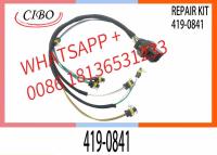 China C9 Injector Wirng Harness 215-3249 419-0841 Excavator  E330C E330D E336D E340D Harness For for sale