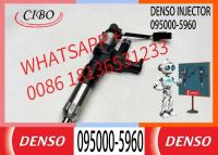 China New Diesel Common Rail Injector 095000-5960 23670-E0300 23670-E0301 for Hi-no J07E J08 for sale