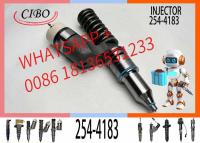 China 253-0608 254-4183 Fuel Injector for Diesel Engine C13 C11 2530608 2544183 Injector Nozzle for sale