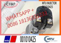China Diesel Fuel Injector VTO-G160BM 253351 001010425/71 for MTU 4000 ENGINE for sale