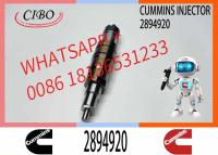 China Common Rail Diesel Fuel Injector 2897320 2894920 2872405 2086663 for Engine Parts for sale
