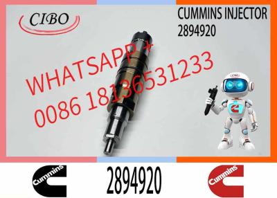 China Common Rail Diesel Fuel Injector 2897320 2894920 2872405 2086663 for Engine Parts for sale