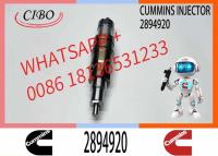 China Common Rail Diesel Fuel Injector 2897320 2894920 2872405 2086663 for Engine Parts for sale