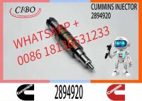 China Common Rail Diesel Fuel Injector 2897320 2894920 2872405 2086663 for Engine Parts for sale