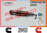 China Common Rail Diesel Fuel Injector 2897320 2894920 2872405 2086663 for Engine Parts for sale