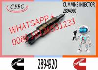 China Common Rail Diesel Fuel Injector 2897320 2894920 2872405 2086663 for Engine Parts for sale