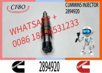 China Common Rail Diesel Fuel Injector 2897320 2894920 2872405 2086663 for Engine Parts for sale