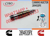 China New Fuel Injector 4327147 4307217 2897320 2894920PX 5579415 5579415PX 2872405 2894920 4327147RX 6513589PX for sale